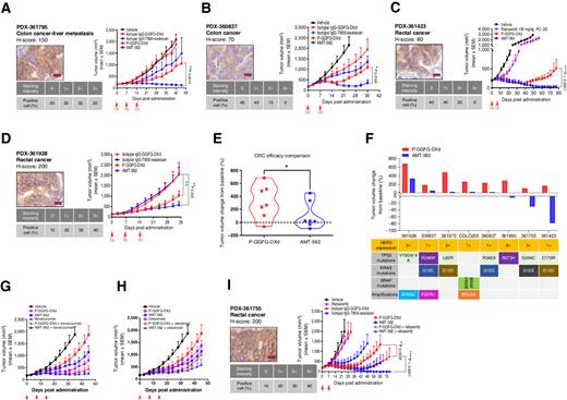 AMT-562, a Novel HER3-targeting Antibody–Drug Conjugate, Demonstrates a ...