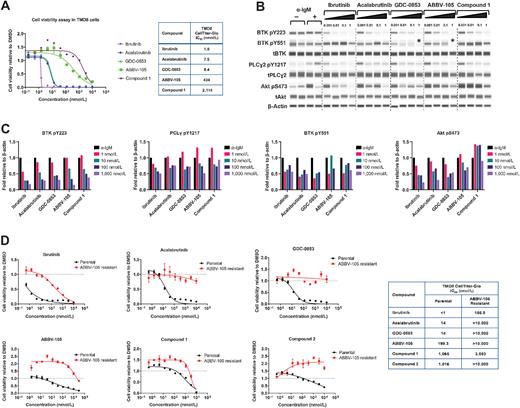 Bruton's Tyrosine Kinase Inhibitors with Distinct Binding Modes Reveal ...