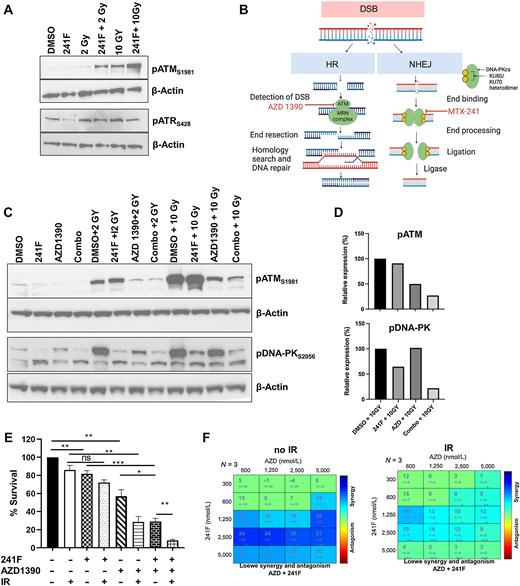 Targeting DNA Repair and Survival Signaling in Diffuse Intrinsic ...