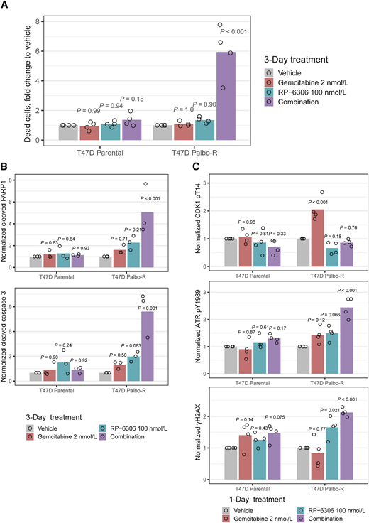 PKMYT1 Is a Marker of Treatment Response and a Therapeutic Target for ...