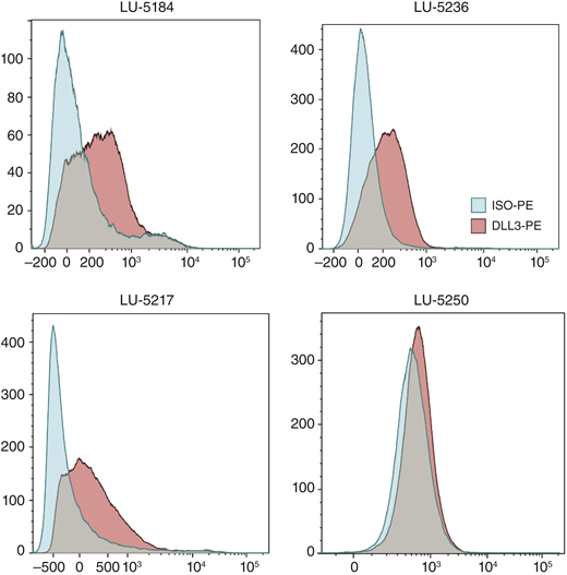 FZ-AD005, a Novel DLL3-Targeted Antibody–Drug Conjugate with ...