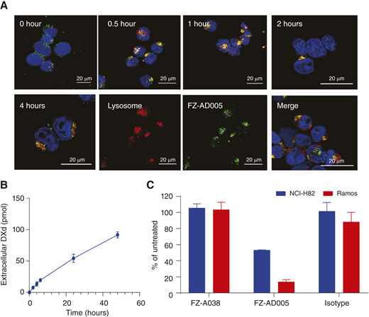 FZ-AD005, a Novel DLL3-Targeted Antibody–Drug Conjugate with ...