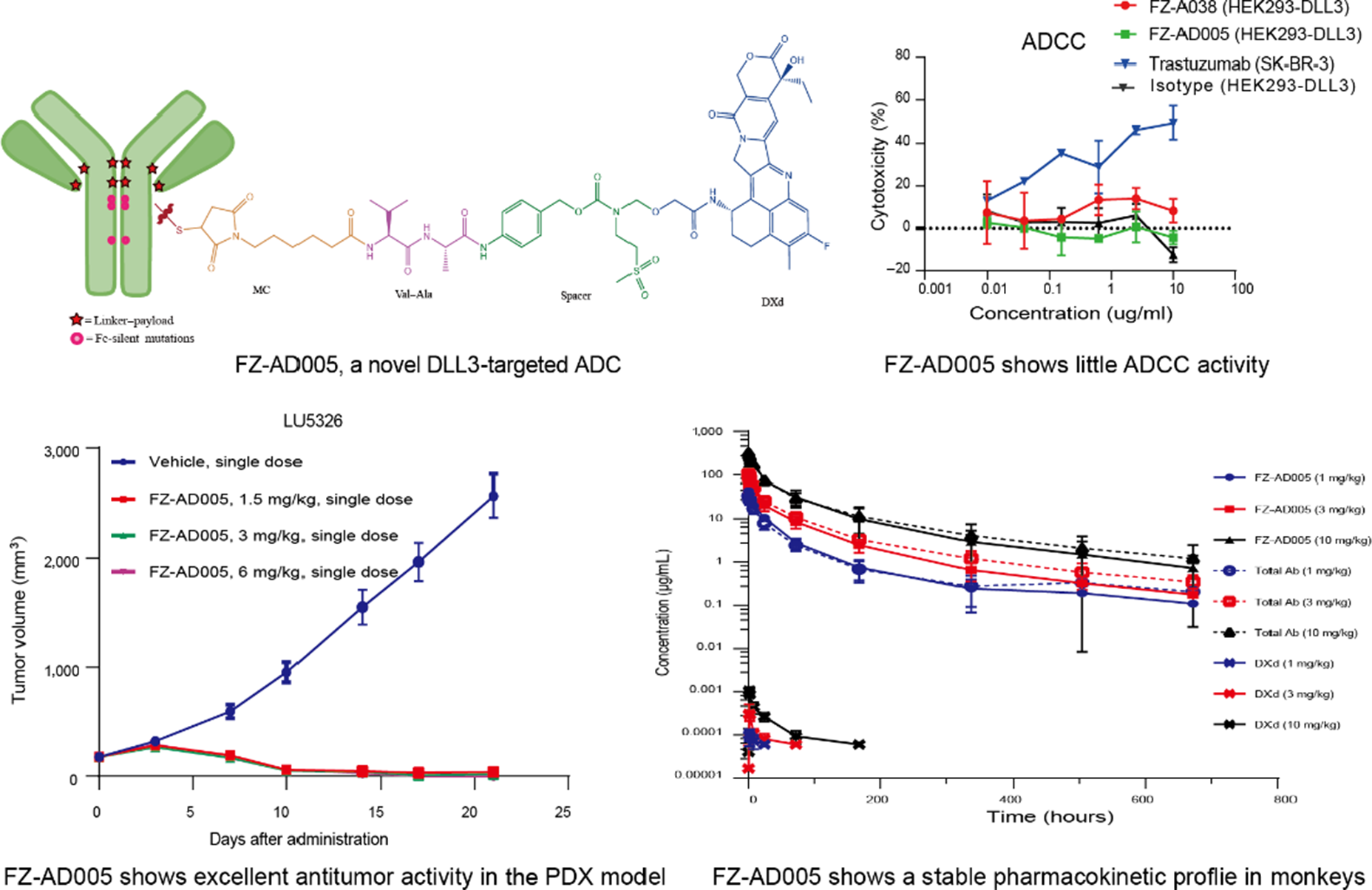 FZ-AD005, a Novel DLL3-Targeted Antibody–Drug Conjugate with ...