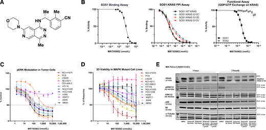 The SOS1 Inhibitor MRTX0902 Blocks KRAS Activation and Demonstrates ...
