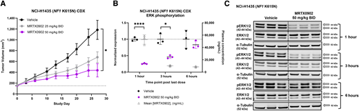 The SOS1 Inhibitor MRTX0902 Blocks KRAS Activation and Demonstrates ...