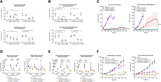 The SOS1 Inhibitor MRTX0902 Blocks KRAS Activation and Demonstrates ...