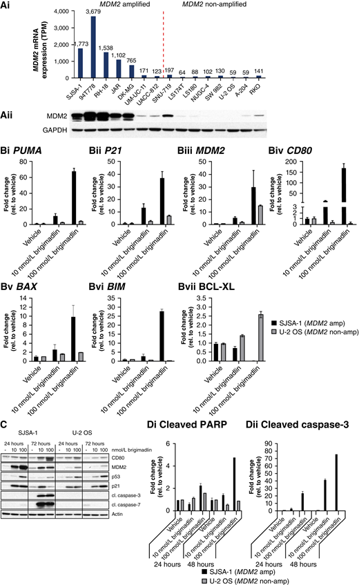 Discovery and Characterization of Brigimadlin, a Novel and Highly ...