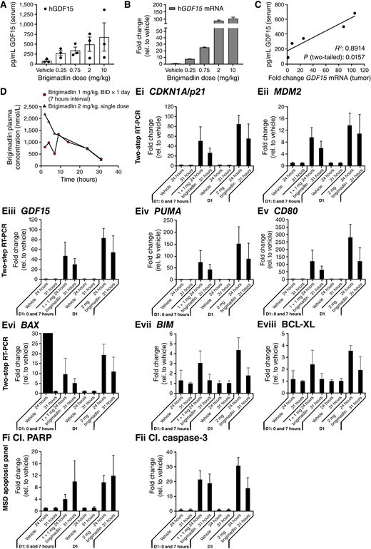 Discovery and Characterization of Brigimadlin, a Novel and Highly ...