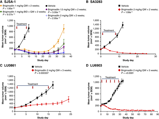 Discovery and Characterization of Brigimadlin, a Novel and Highly ...