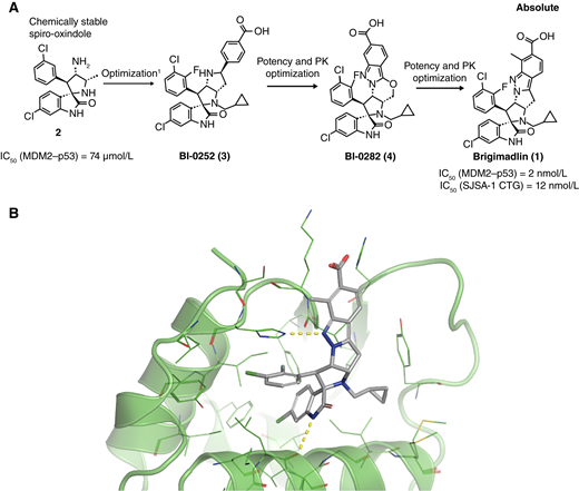 Discovery and Characterization of Brigimadlin, a Novel and Highly ...