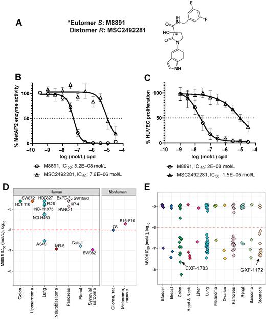 Novel Methionine Aminopeptidase 2 Inhibitor M8891 Synergizes with VEGF ...