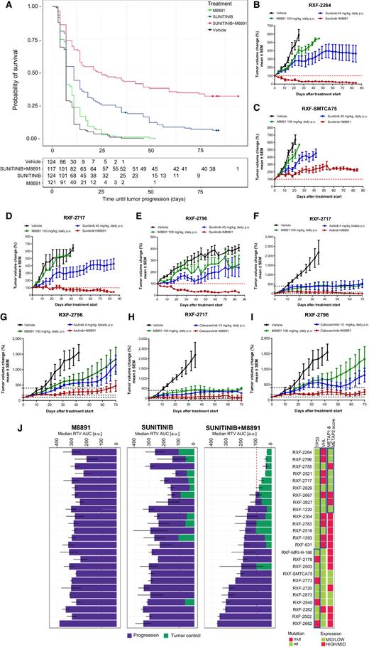 Novel Methionine Aminopeptidase 2 Inhibitor M8891 Synergizes with VEGF ...