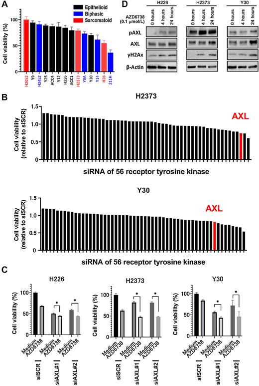 Effects of Combined Therapeutic Targeting of AXL and ATR on Pleural ...