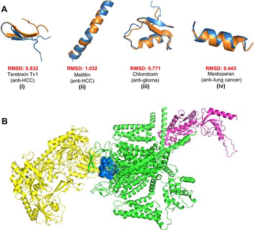 Targeting Dysregulated Ion Channels in Liver Tumors with Venom Peptides ...