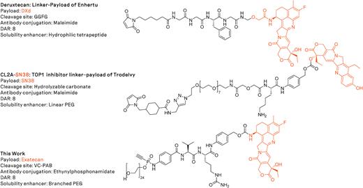 Design and Evaluation of Phosphonamidate-Linked Exatecan Constructs for ...