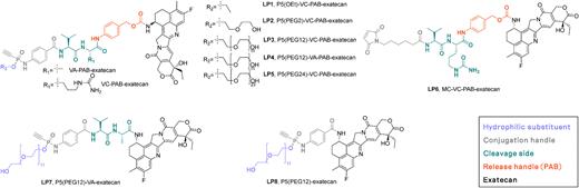 Design and Evaluation of Phosphonamidate-Linked Exatecan Constructs for ...