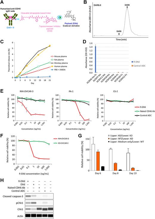 Raludotatug Deruxtecan, a CDH6-Targeting Antibody–Drug Conjugate with a ...