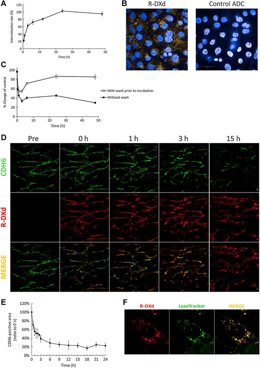 Raludotatug Deruxtecan, a CDH6-Targeting Antibody–Drug Conjugate with a ...