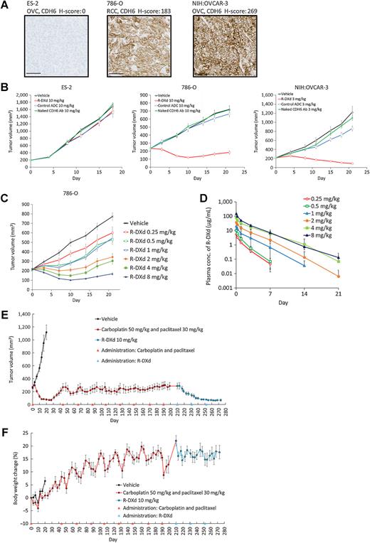 Raludotatug Deruxtecan, a CDH6-Targeting Antibody–Drug Conjugate with a DNA Topoisomerase I ...