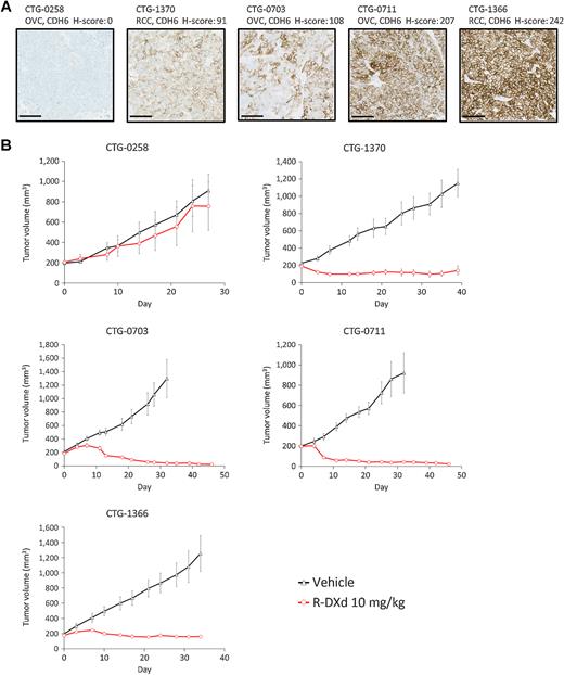 Raludotatug Deruxtecan, a CDH6-Targeting Antibody–Drug Conjugate with a ...