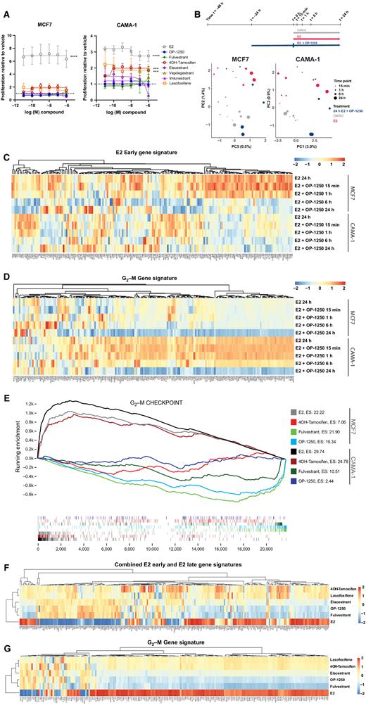 Palazestrant (OP-1250), A Complete Estrogen Receptor Antagonist ...