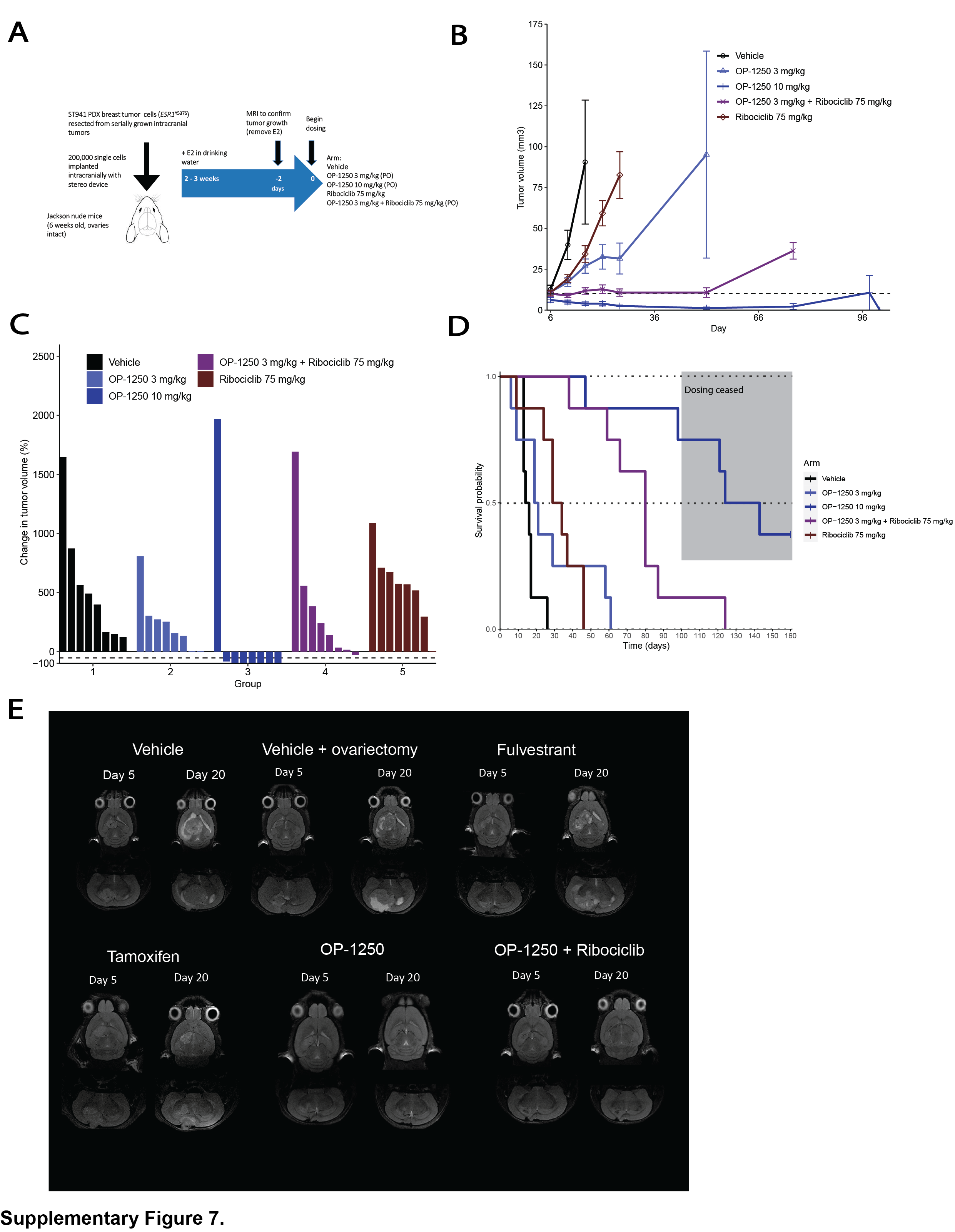 Palazestrant (OP-1250), A Complete Estrogen Receptor Antagonist ...