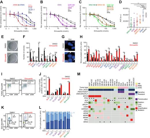 Elimusertib has Antitumor Activity in Preclinical Patient-Derived ...