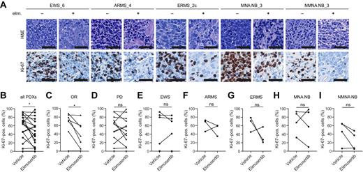 Elimusertib has Antitumor Activity in Preclinical Patient-Derived ...