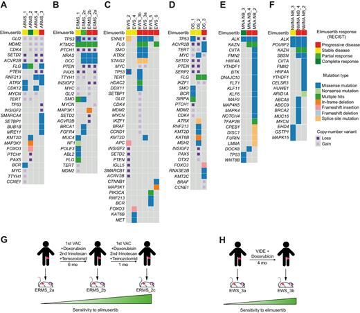 Elimusertib has Antitumor Activity in Preclinical Patient-Derived ...