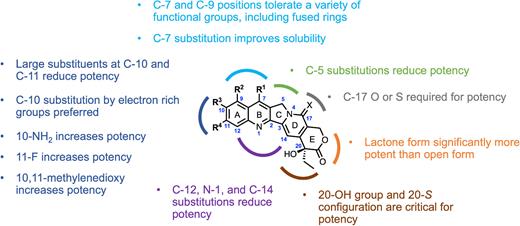 Design and Evaluation of ZD06519, a Novel Camptothecin Payload for ...