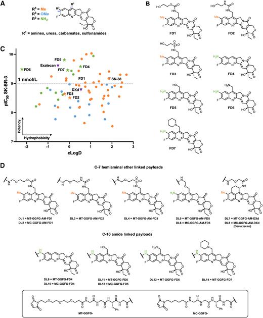 Design and Evaluation of ZD06519, a Novel Camptothecin Payload for ...