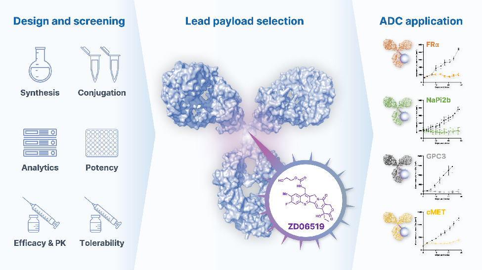 Design and Evaluation of ZD06519, a Novel Camptothecin Payload for ...