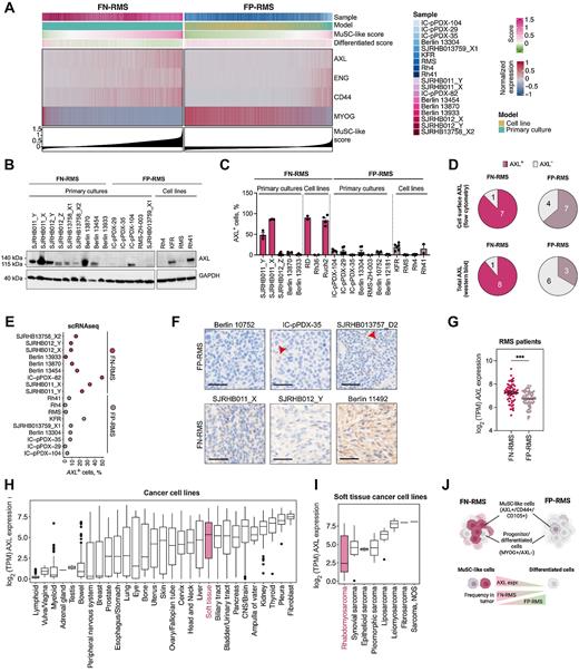 Evaluation of the Role of AXL in Fusion-positive Pediatric ...