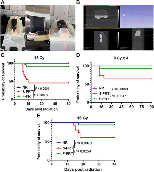 Proton FLASH Radiotherapy Ameliorates Radiation-induced Salivary Gland ...