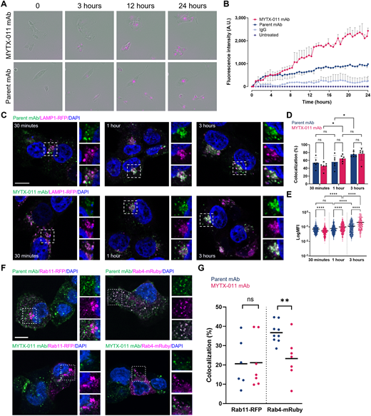 MYTX-011: A pH-Dependent Anti–c-MET Antibody–Drug Conjugate Designed ...