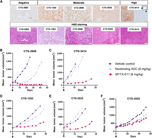 MYTX-011: A pH-Dependent Anti–c-MET Antibody–Drug Conjugate Designed ...