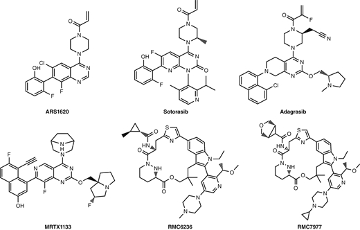 Advances and Challenges in RAS Signaling Targeted Therapy in Leukemia ...