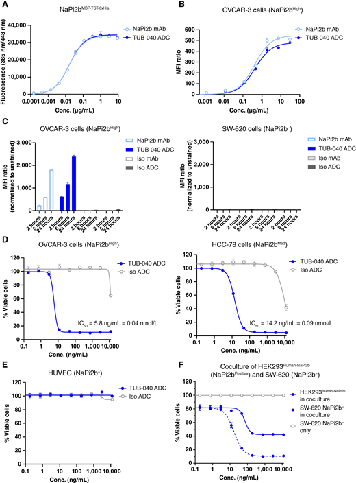 TUB-040, a Homogeneous and Hydrophilic NaPi2b-Targeting ADC with Stably ...