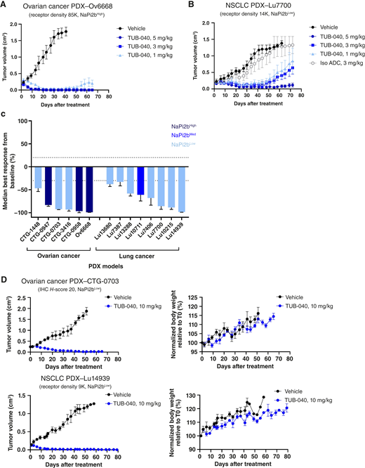 TUB-040, a Homogeneous and Hydrophilic NaPi2b-Targeting ADC with Stably ...