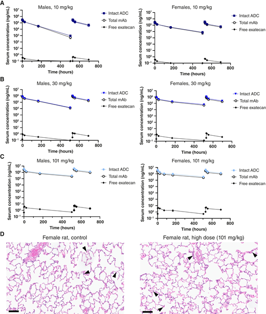 TUB-040, a Homogeneous and Hydrophilic NaPi2b-Targeting ADC with Stably ...