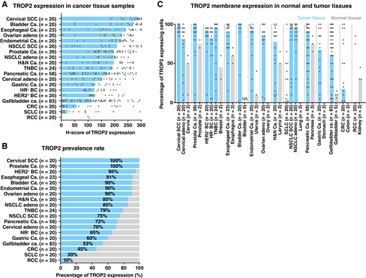 OBI-992, a Novel TROP2-Targeted Antibody–Drug Conjugate, Demonstrates ...