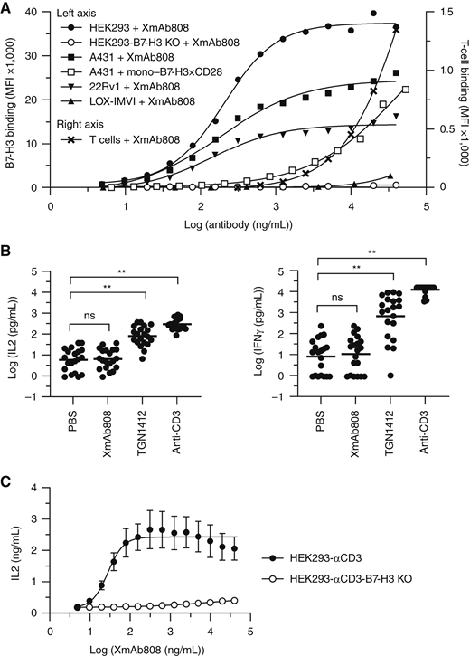 A B7-H3–Targeted CD28 Bispecific Antibody Enhances the Activity of Anti ...