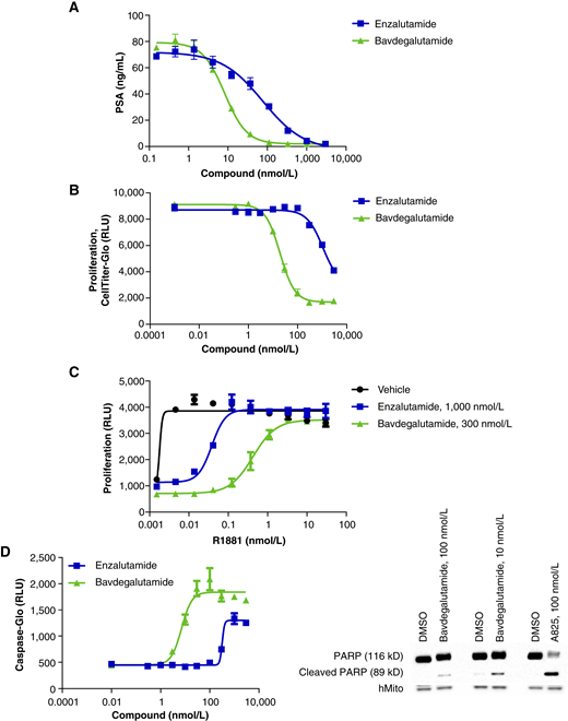 Preclinical Evaluation of Bavdegalutamide (ARV-110), a Novel ...