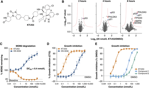 KT-253, a Novel MDM2 Degrader and p53 Stabilizer, Has Superior Potency ...