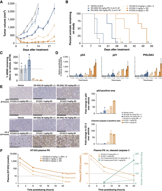 KT-253, a Novel MDM2 Degrader and p53 Stabilizer, Has Superior Potency ...