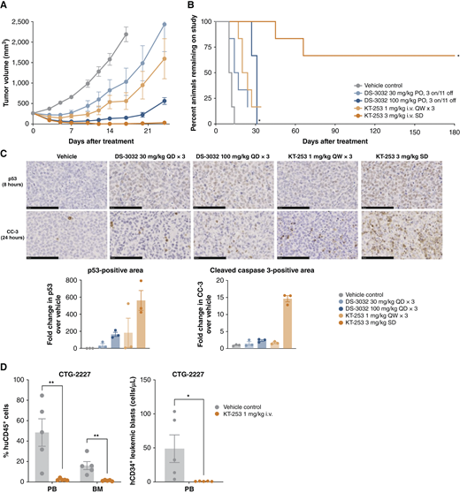 KT-253, a Novel MDM2 Degrader and p53 Stabilizer, Has Superior Potency ...
