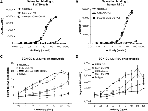 Preclinical Development of SGN-CD47M: Protease-Activated Antibody ...
