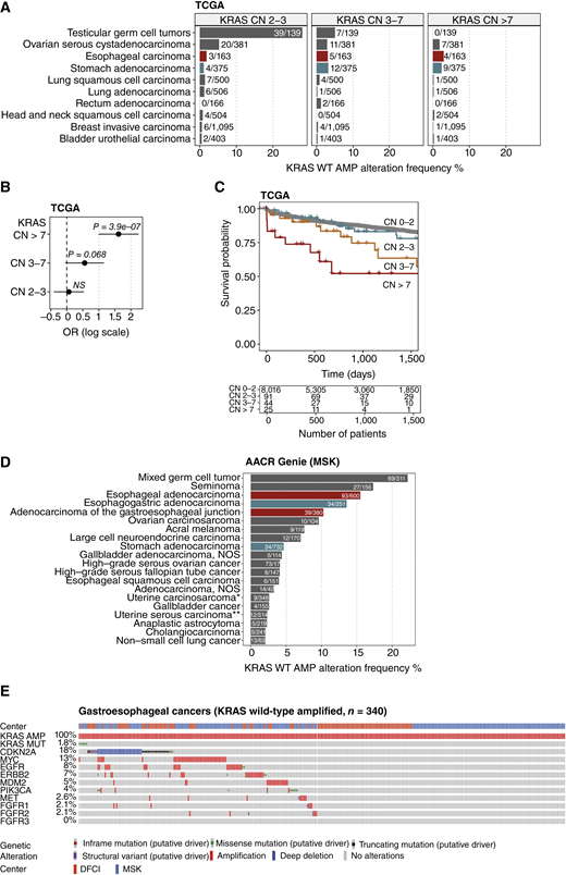 Pan-KRAS Inhibitors BI-2493 and BI-2865 Display Potent Antitumor ...