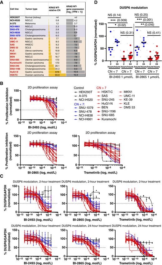 Pan-KRAS Inhibitors BI-2493 and BI-2865 Display Potent Antitumor ...