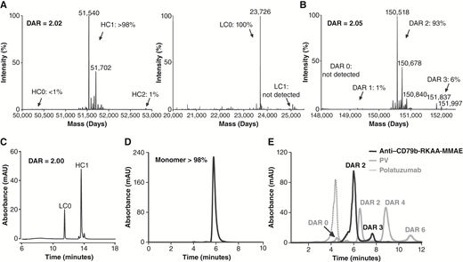 Broadening the Therapeutic Window of ADCs Using Site-Specific ...